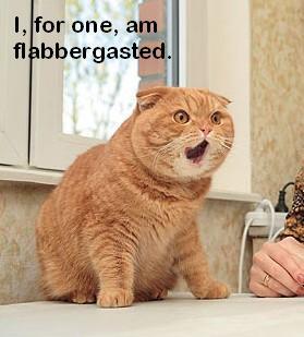 Progressive Charlestown: “Absolutely flabbergasted”