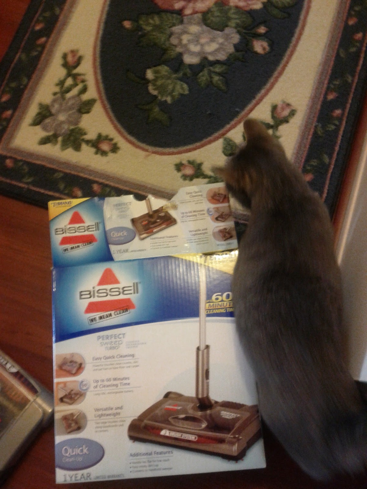 Cat and DOG Chat With Caren: Bissell Perfect Sweep Turbo: Review & Give ...