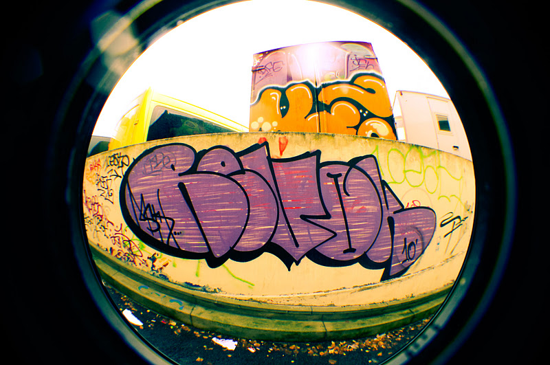La Feuille Buvard: Fish eye graffiti
