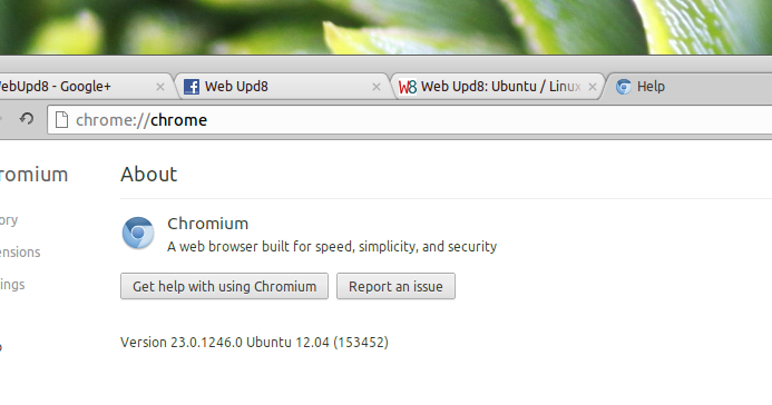 New Chromium Stable And Development PPAs For Ubuntu 12.04 ~ Web Upd8 ...