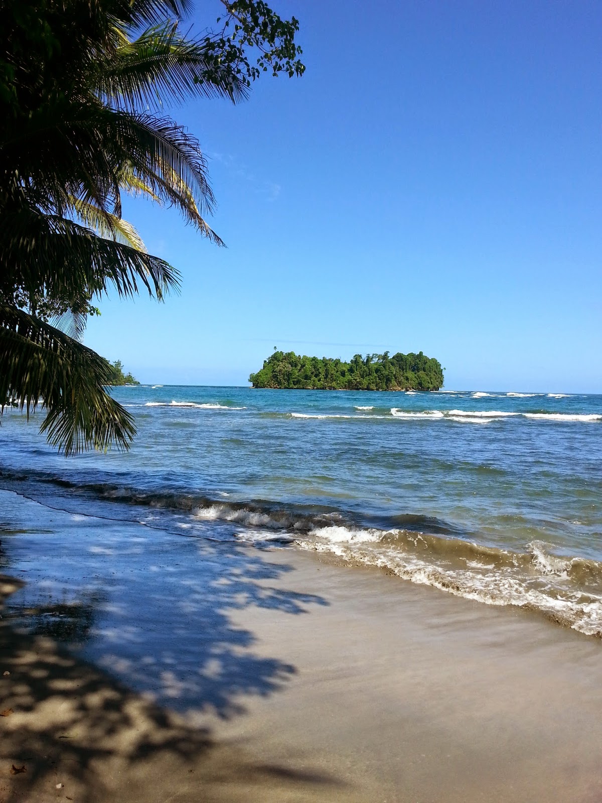 GANDOCA TOURS: GANDOCA-MANZANILLO (TOUR DE 1-DÍA)