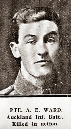 Timespanner: Avondale School's Marble Roll of Honour