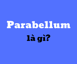 Parabellum là gì? Ý nghĩa của parabellum - Dịch Nghĩa Online