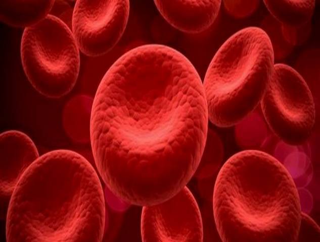 Causes et symptômes d'anémie : carence en fer, fatigue...