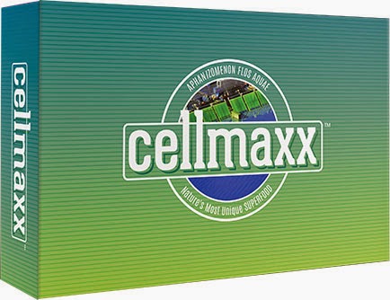 CellMaxx- Superfood: Apa itu Cellmaxx?