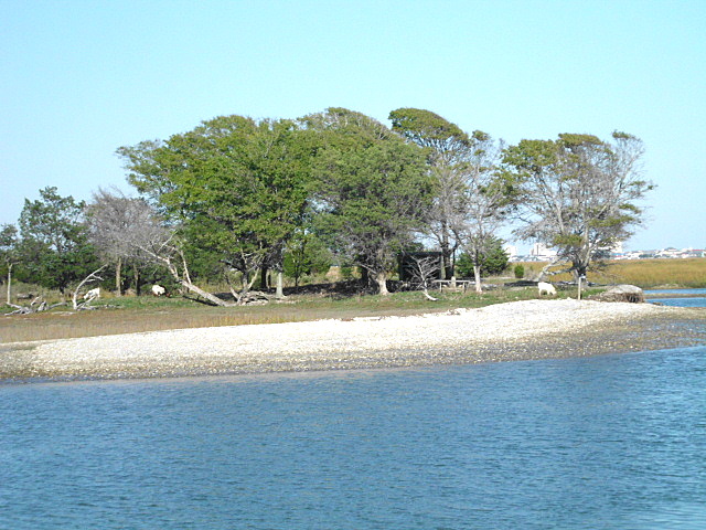 Two Happy: Murrells Inlet, SC