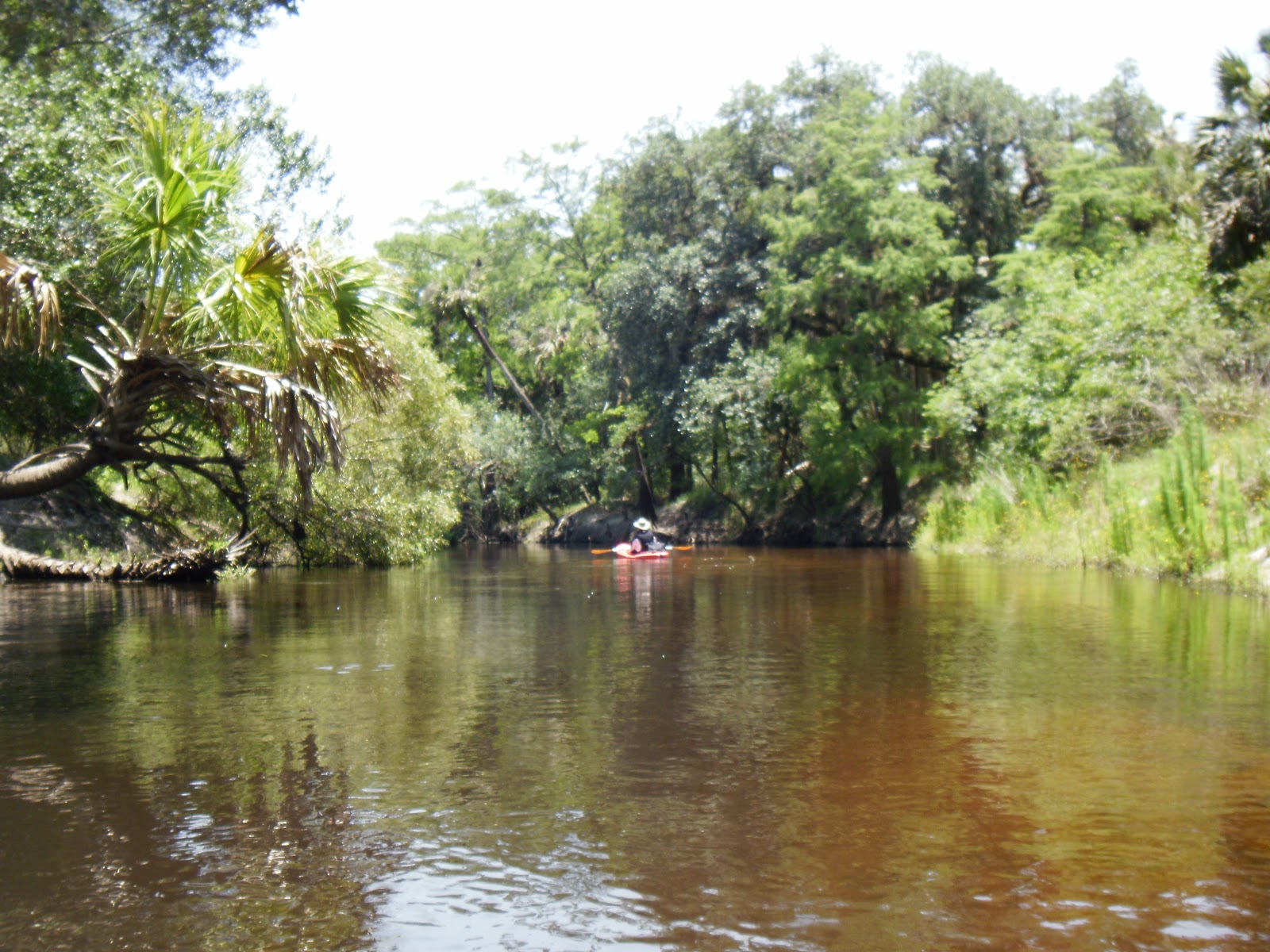 Kayaking Econlockhatchee River ~ When 140 Characters Just Doesn't Cut It...