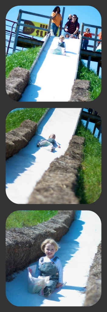 Family Snodgrass: Autumnal