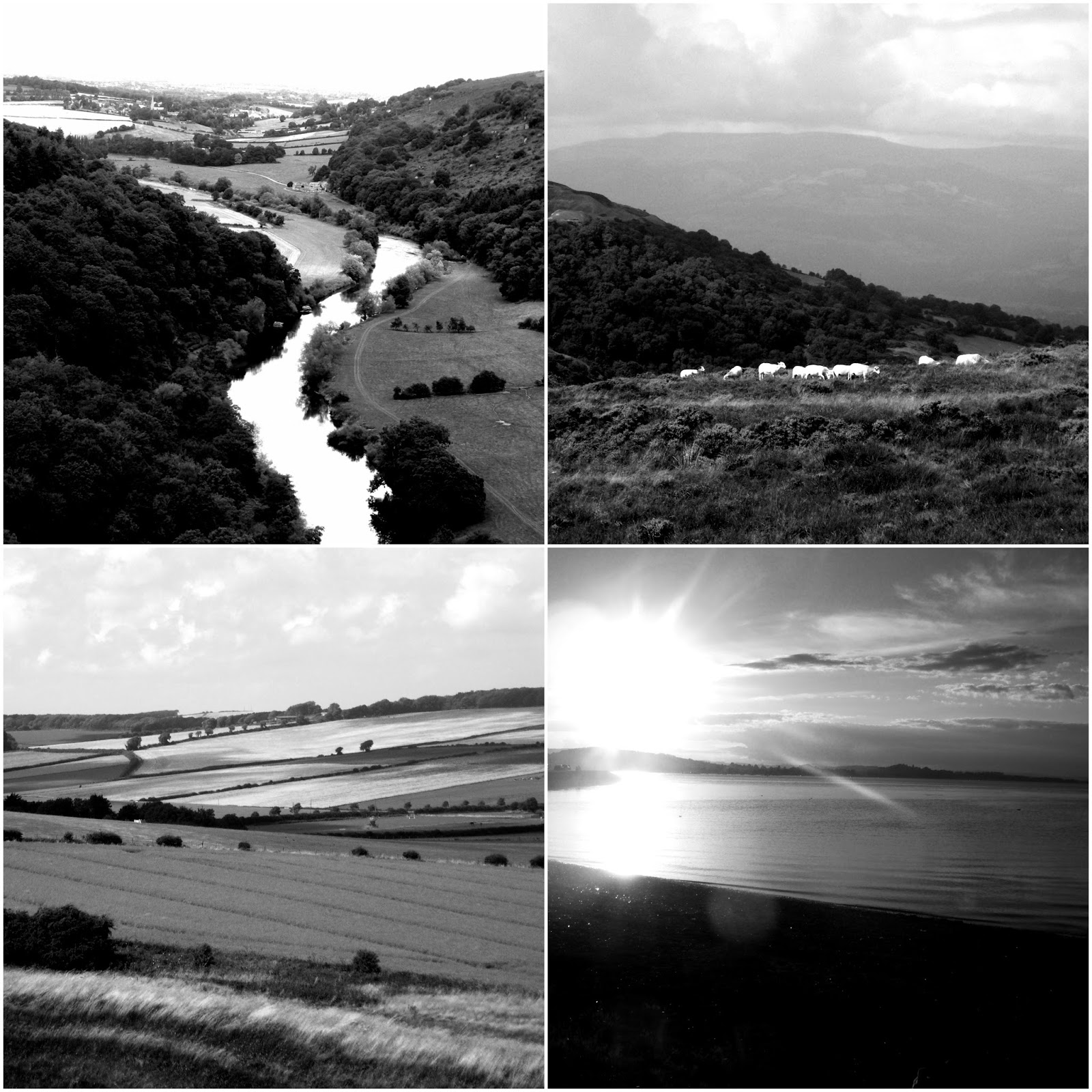 Dotty Textiles: Absence Of Colour