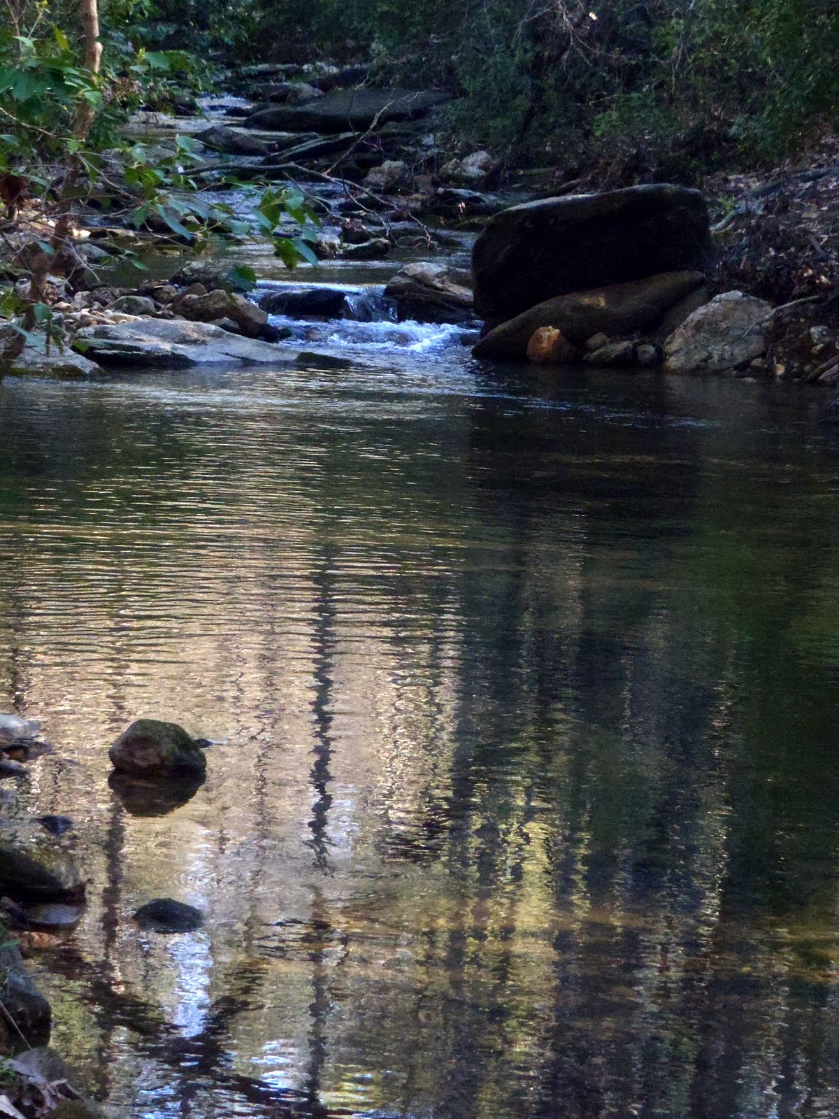 The Road to Big Bend: The Skyway Loop Trail on the Pinhoti Trail