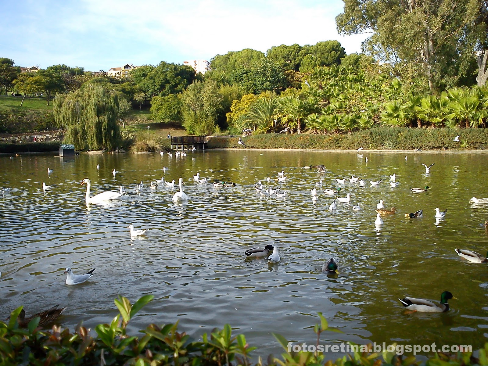 Fotos Retina: Parque 'La Paloma' - Benalmadena