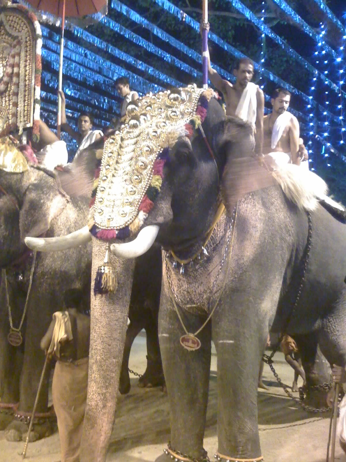 KERALA FESTIVALS: Maradu thalappoli 2013 Photos