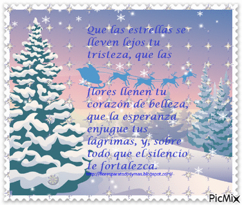 Flores Para Todos Y Mas: Frases de Animo.