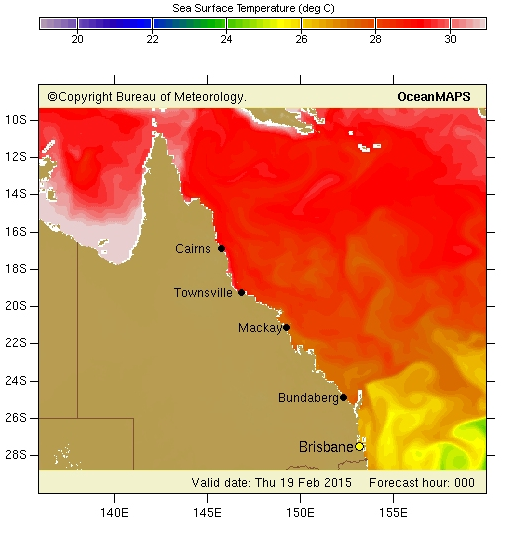 Warmer than normal sea surface temperatures