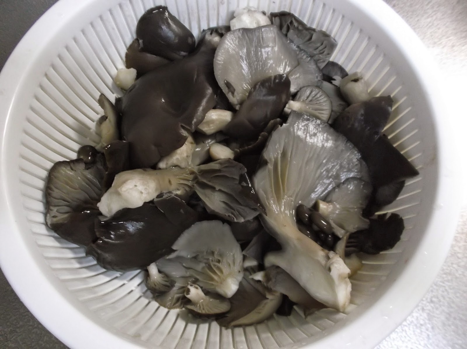 Hiroyuki's Blog on Japanese Cooking: Our First Mushroom Nabe in This ...