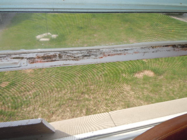 Sweetly Home: Shaklee Basic H2 Review and a Giveaway!