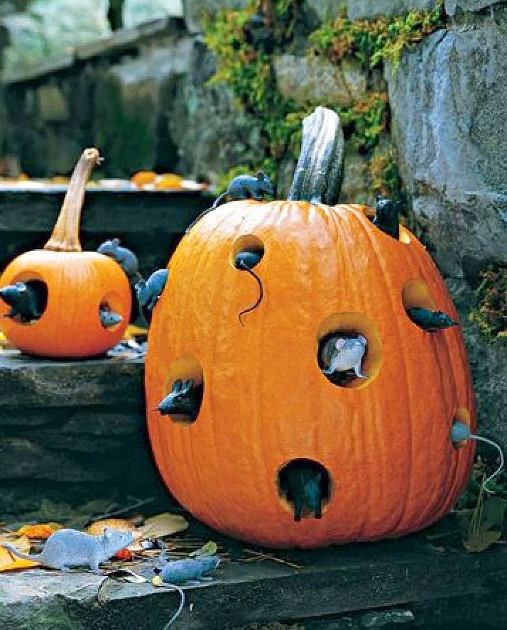 Amazing Halloween Pumpkins : Halloween Ideas