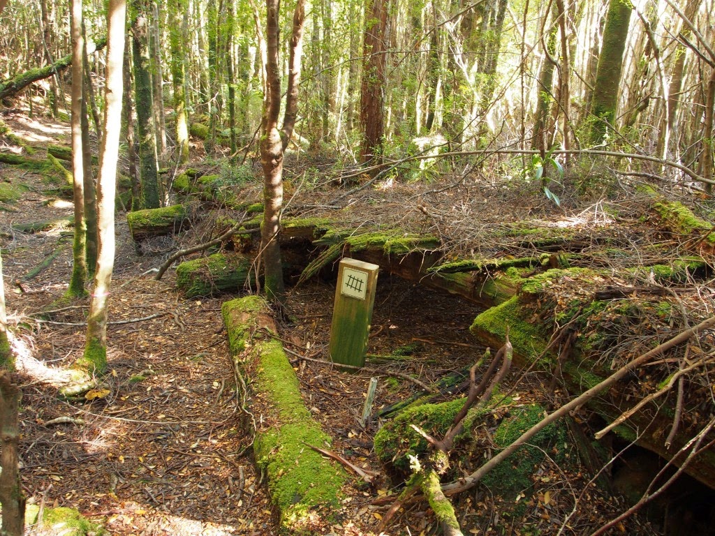 Thirty-Four Tetras: Winterbrook Falls and Black Bluff