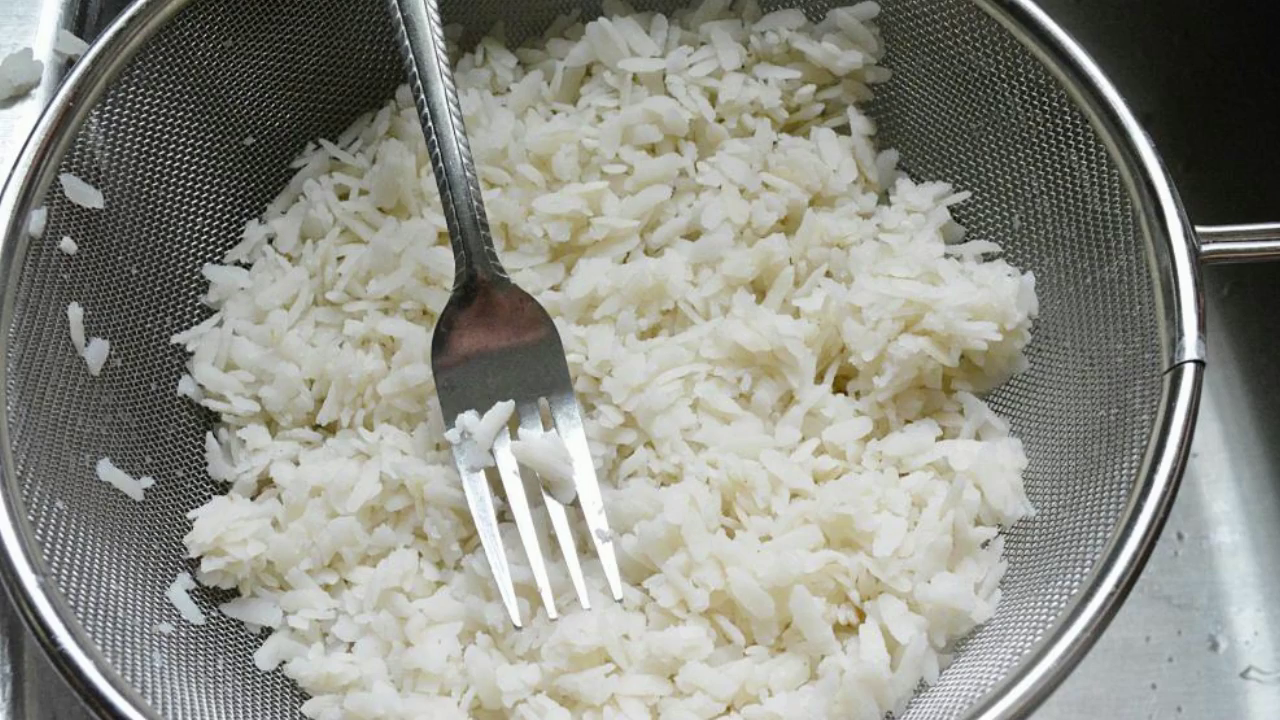 Top 10 Most Popular Street Foods of Bihar | Tousif Akram | Travel ...