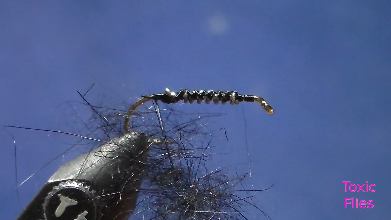 Fly Patterns: Black Mini Leech