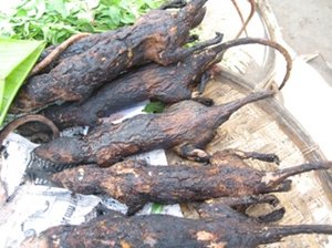 Visit Manado: Traditional Foods