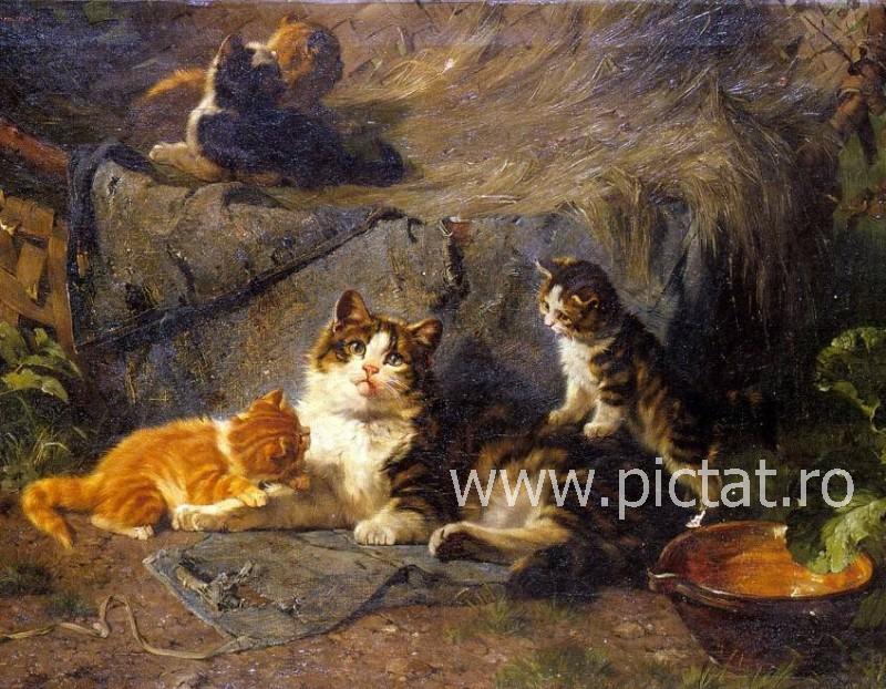 Imagini comice cu animale: Tari Artistice Si Galerie Foto Frumoase Fete ...