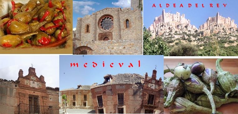 VIII CENTENARIO: EL OCTAVO CENTENARIO SURGE CON VOCACION TURISTICA EN ...