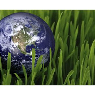 5 Easy and Fun Ways to Celebrate Earth Day