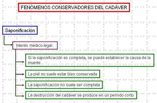 Momificación, saponificación, corificación, congelación ...