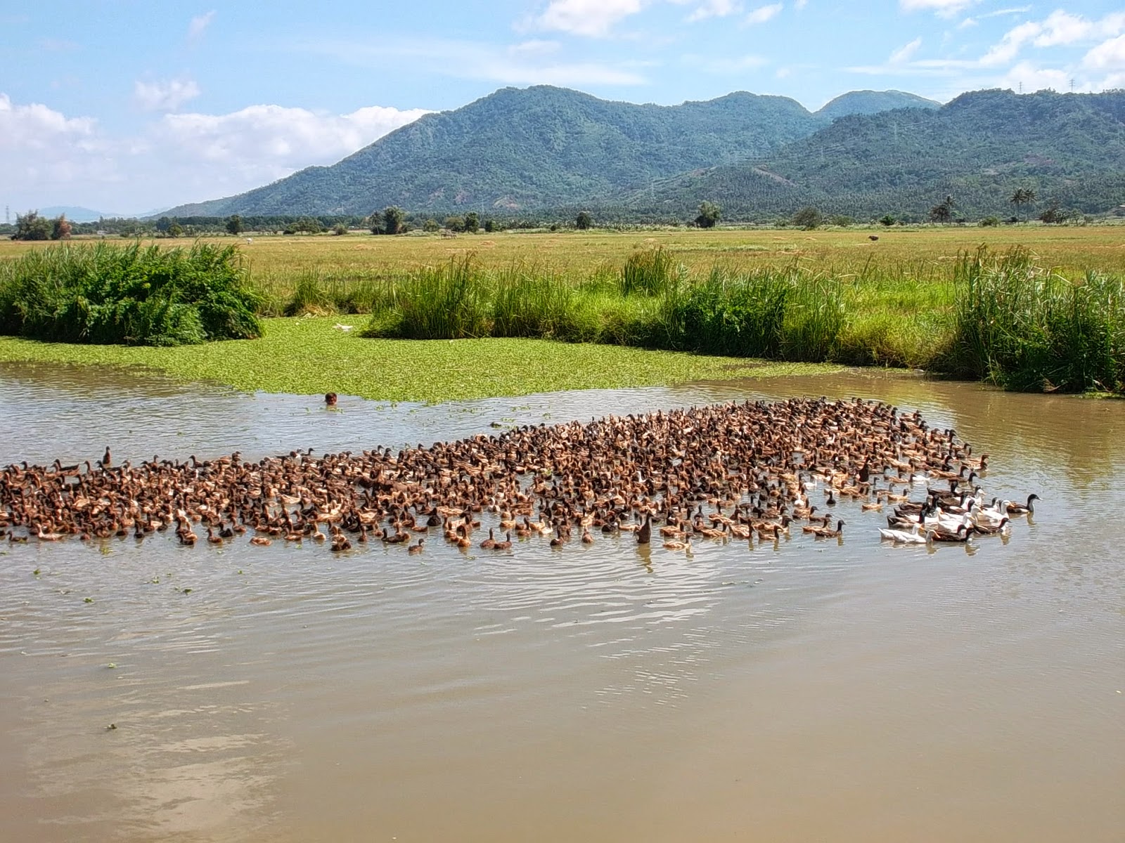 Konted's Make My Day 2: Laguna de Bay: Finding Serenity