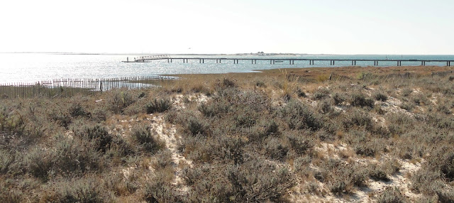Viajar só?: Parque Natural da Ria Formosa
