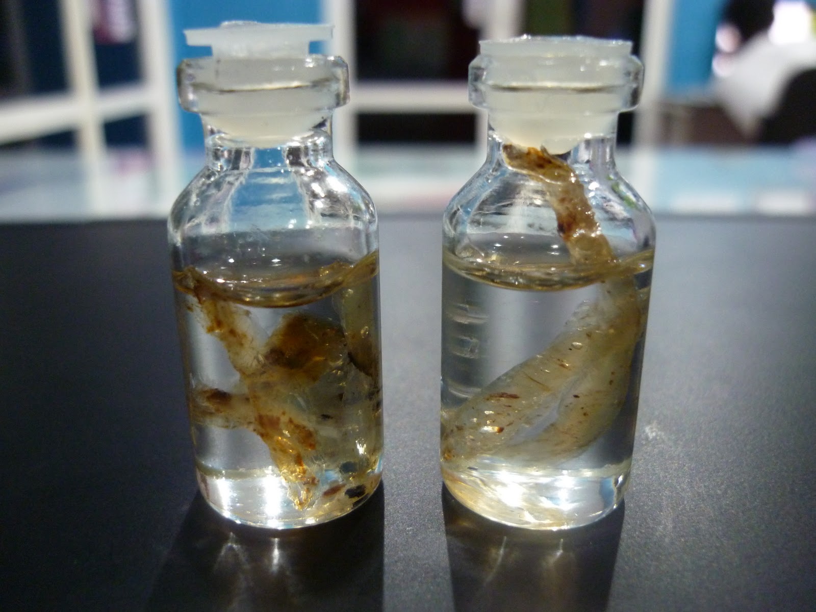 Wafak Dan Azimat Maharaja: AIR MANI GAJAH LEMPUNG ( JADI BATU DAN AIR ...