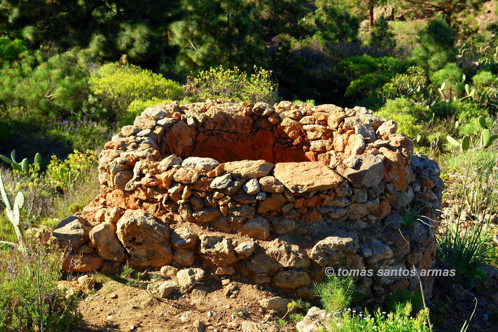 Tenerife senderos......: febrero 2015