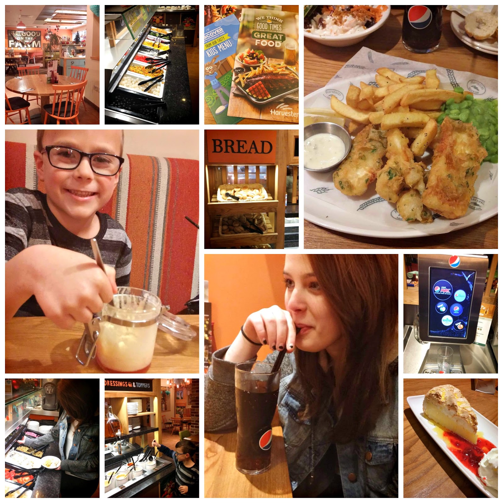 Inside the Wendy House: A Family Meal at The Harvester