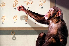 KRAINA DISNEYA: Maraton 100 filmów Disney Channel!