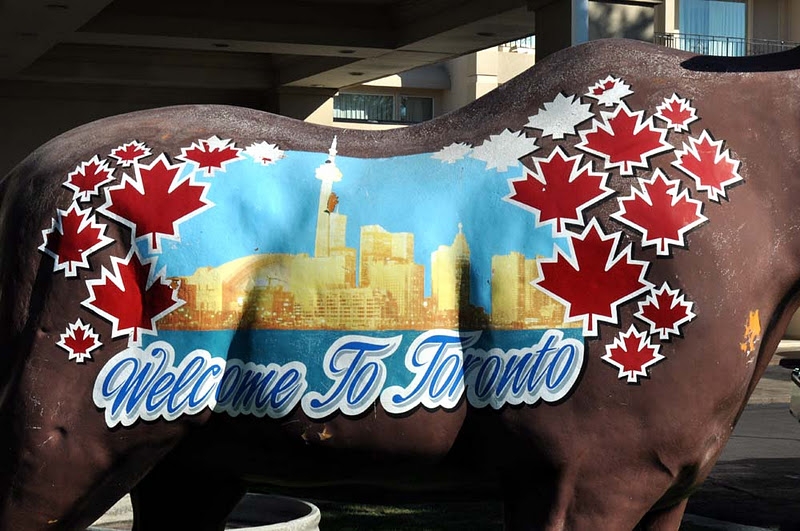 Toronto Grand Prix Tourist - A Toronto Blog: Maple Leaf Moose: Welcome ...