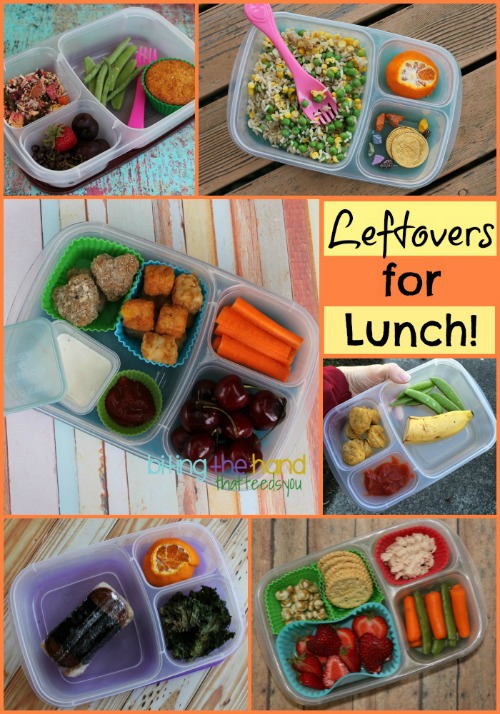 Biting The Hand That Feeds You: Leftovers for School Lunches!