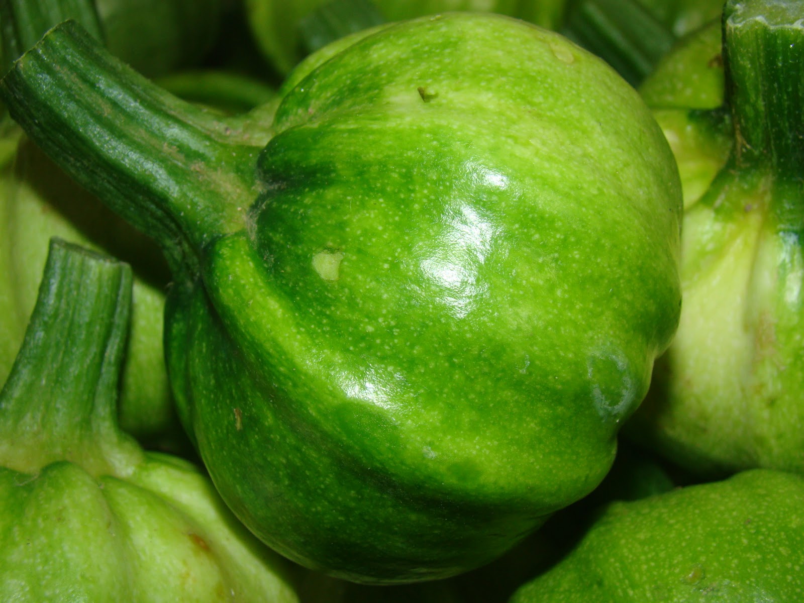 Cocinas y Recetas: Verduras, simplemente exquisitas