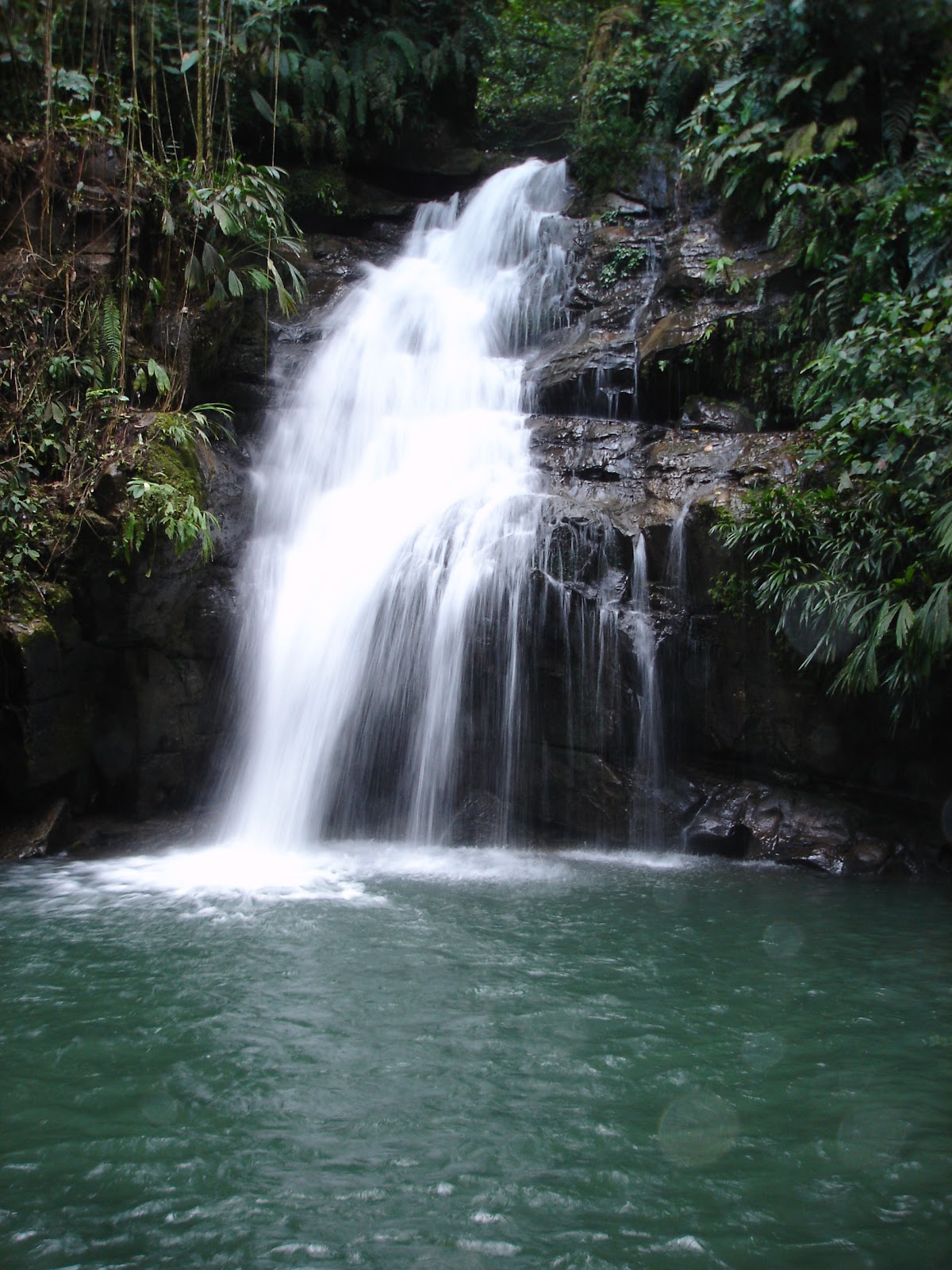 VICTOR JIMENEZ: CANTÓN LORETO - ORELLANA - ECUADOR