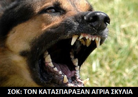 H.M.V: ΣOK: ΤΟΝ ΚΑΤΑΣΠΑΡΑΞΑΝ ΑΓΡΙΑ ΣΚΥΛΙΑ
