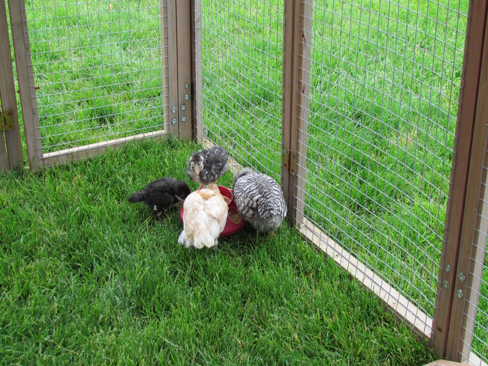 The Adams' Family Farm