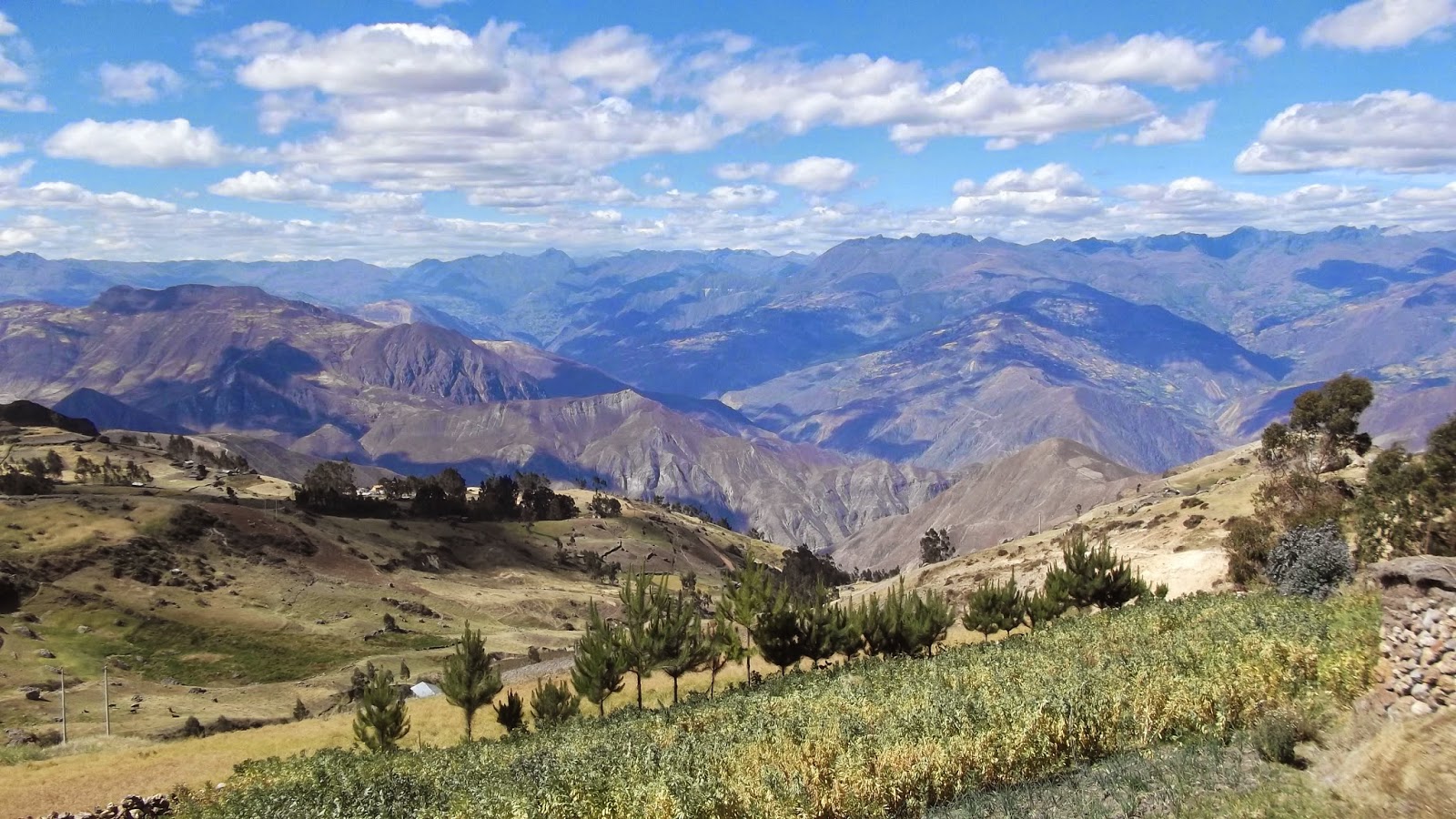 SANTUARIO NACIONAL DE CALIPUY: Protegiendo el rodal más denso de Puya ...