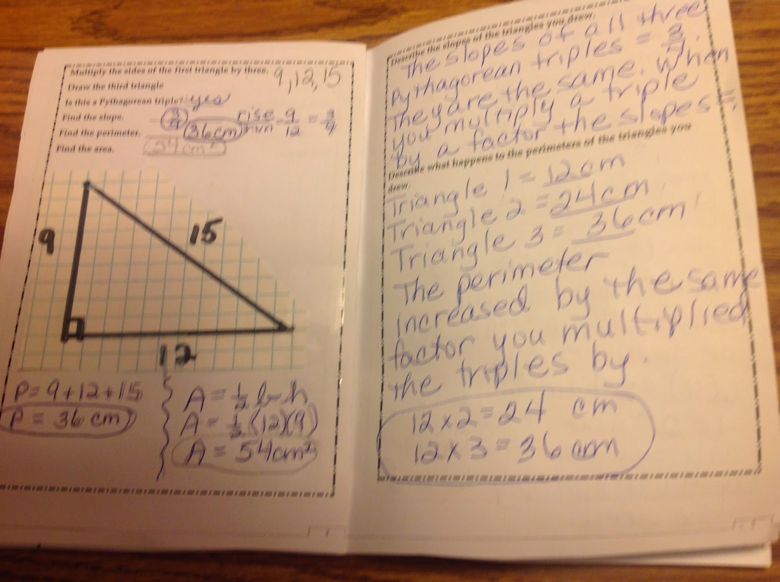 Equation Freak: Pythagorean Triple Foldable Booklet