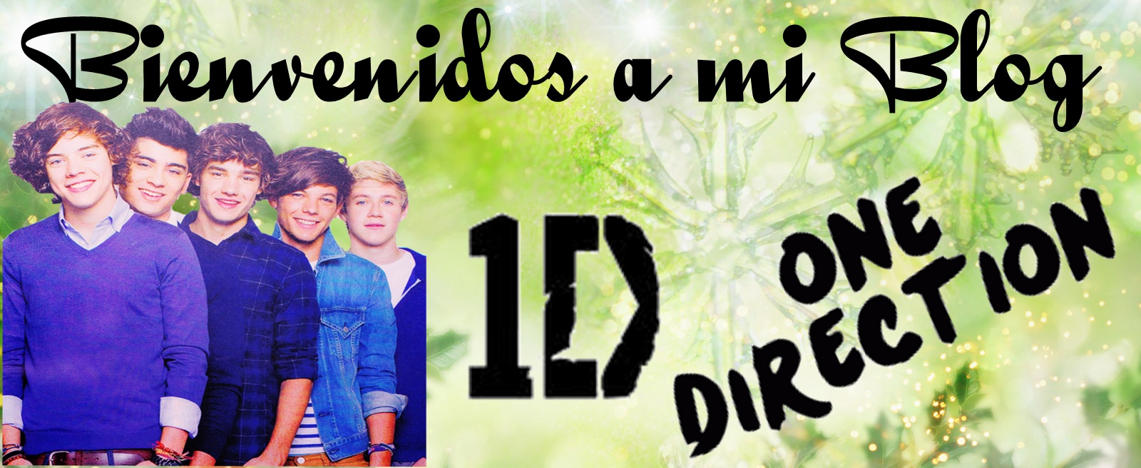 One Direction - Biografía