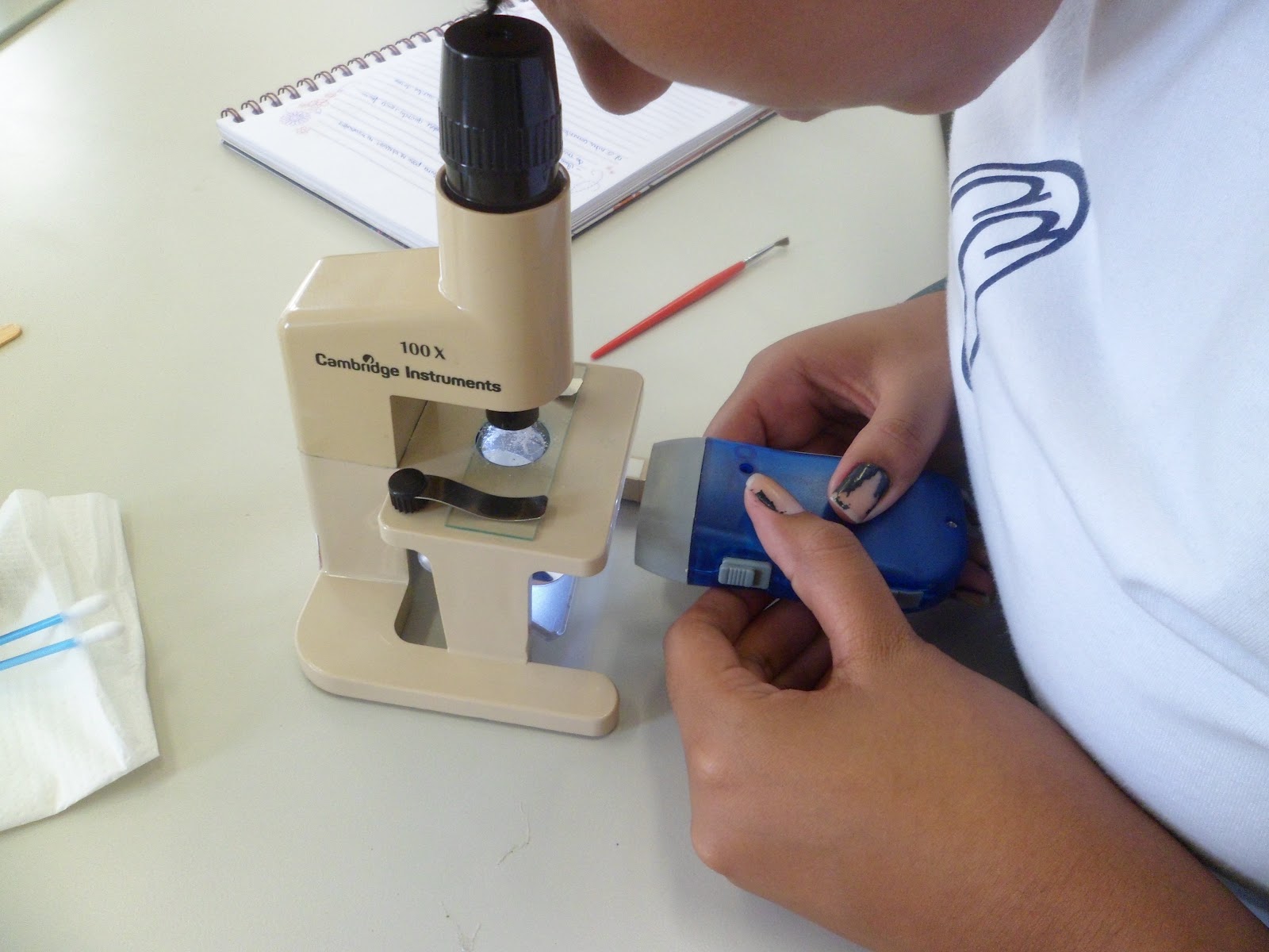 Microscopia