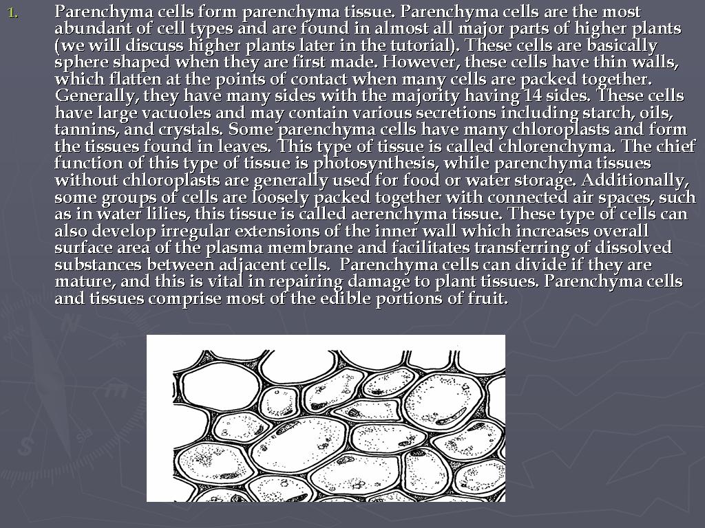 Simple Tissues Types /Parenchyma ,Collenchyma ,Sclerenchyma Tissues ...