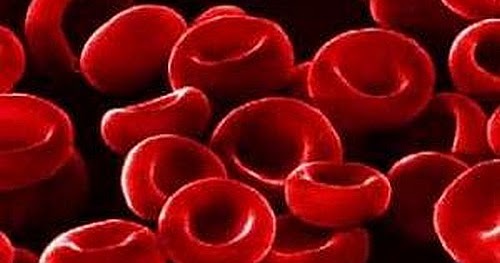 Manque de fer dans le sang : symptômes et troubles sur la santé