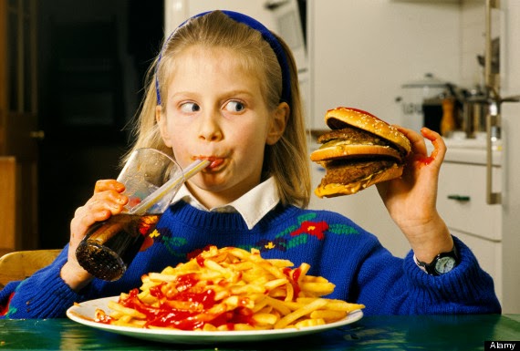 The World of Junk Food: Blog post 2: Junk Foods and its Effects