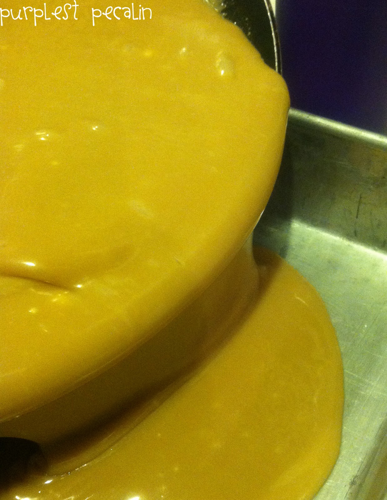 Purplest Pecalin: Salted Caramel Fudge