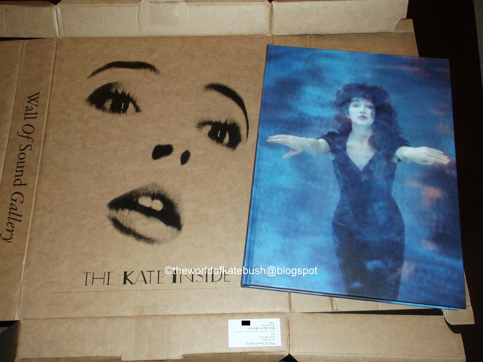 THE WORLD OF KATE BUSH: The Kate Inside: Collector Edition Book by ...